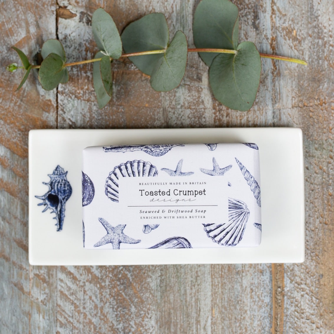 Conch Bone China Rectangular Soap Dish – The Bee's Knees British Imports