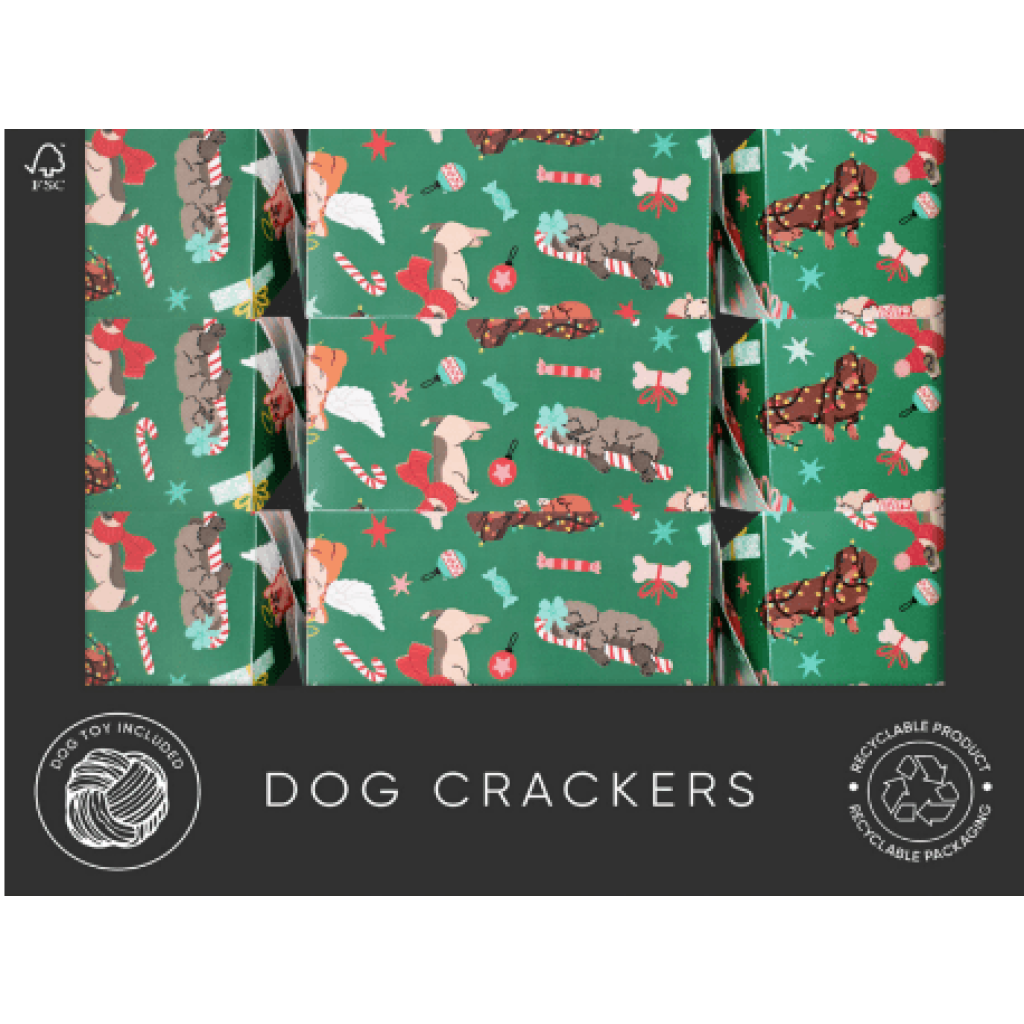 Dog 13in Christmas Cracker – The Bee's Knees British Imports