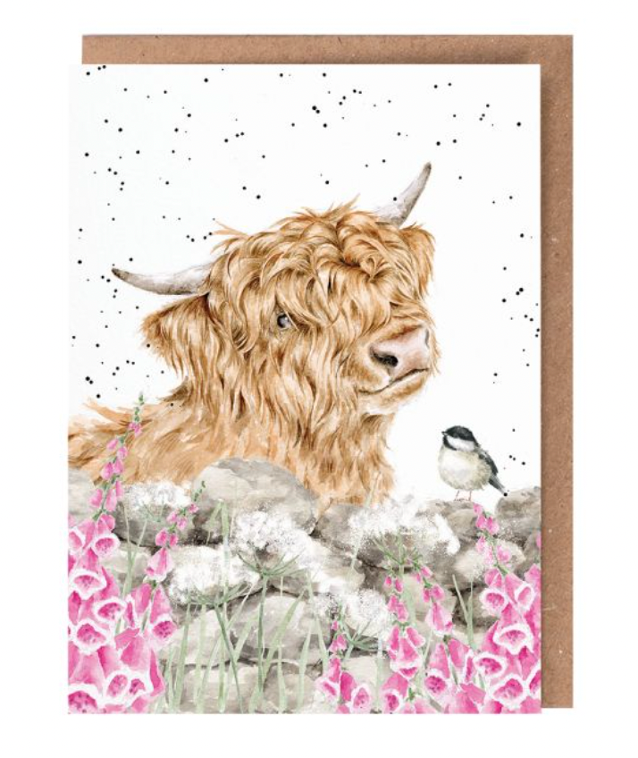 'Just for Moo' Highland Cow Greetings Card – The Bee's Knees British ...