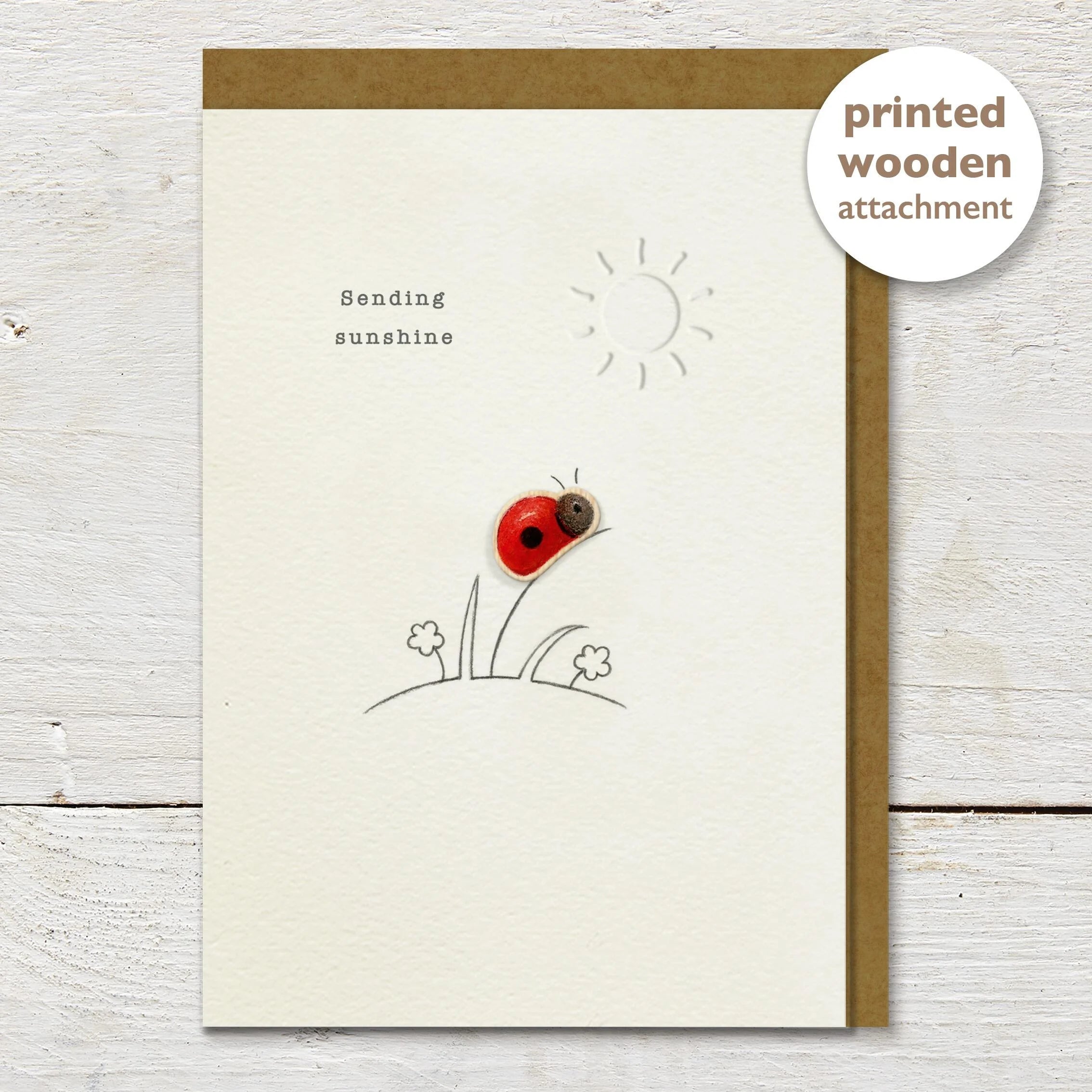 Sending Sunshine Ladybug Greeting Card – The Bee's Knees British Imports